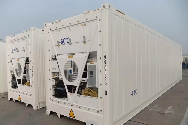 Cold Storage Container Beef and Poultry for Sale Best Price